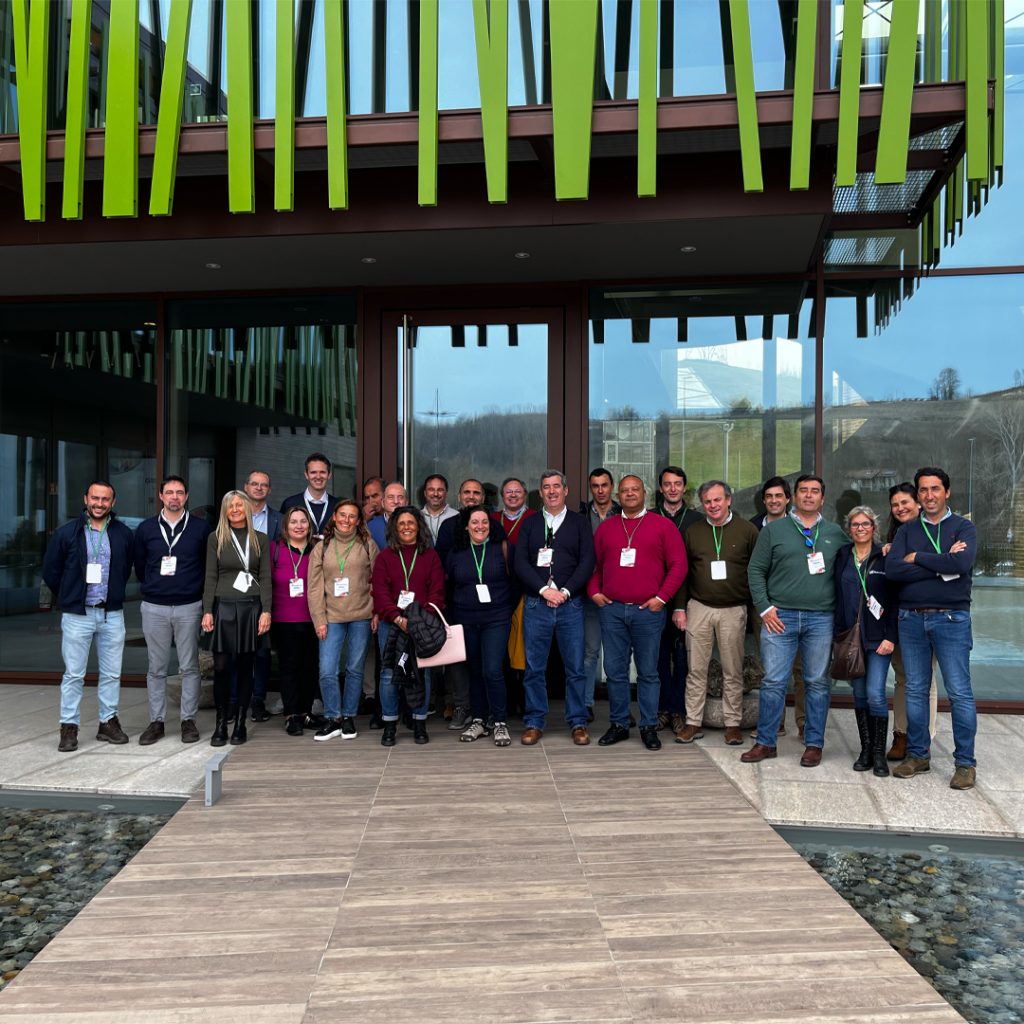 Greenhas – Movasagh